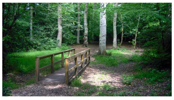 Pinner Local - Great Places for Walks in Harrow & Hillingdon
