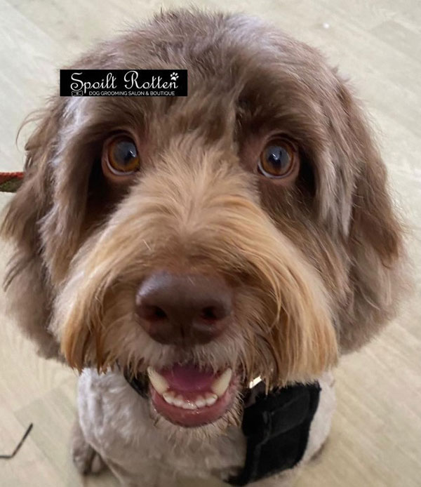 Pinner Local - Home Page